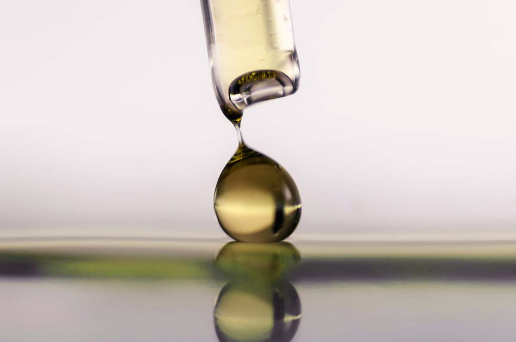 Study of SAC Effects in the Epithelial Cell Multiplication and Thickne ...