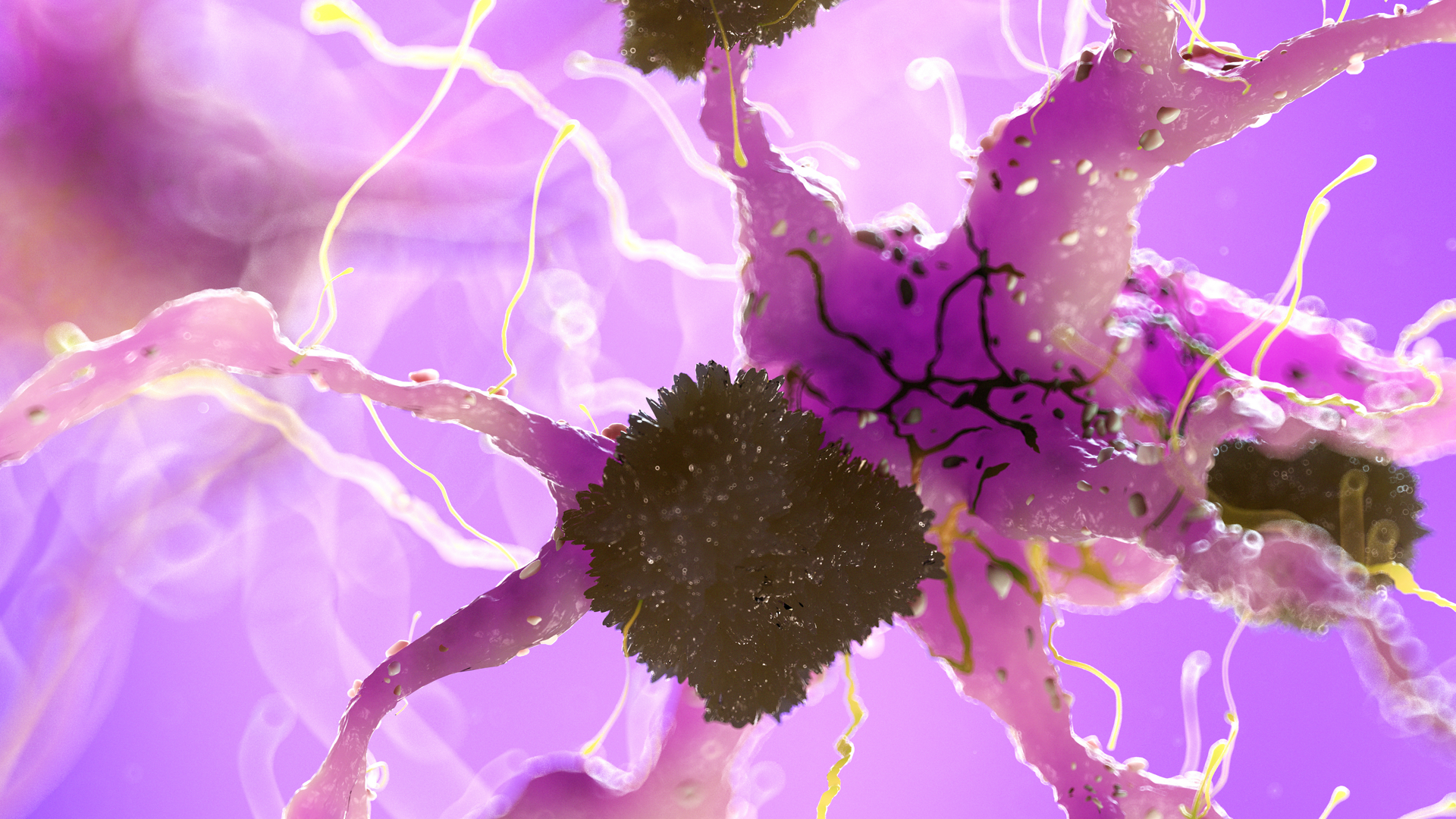 How Bone Loss Can Lead to Memory Loss – Marah Natural