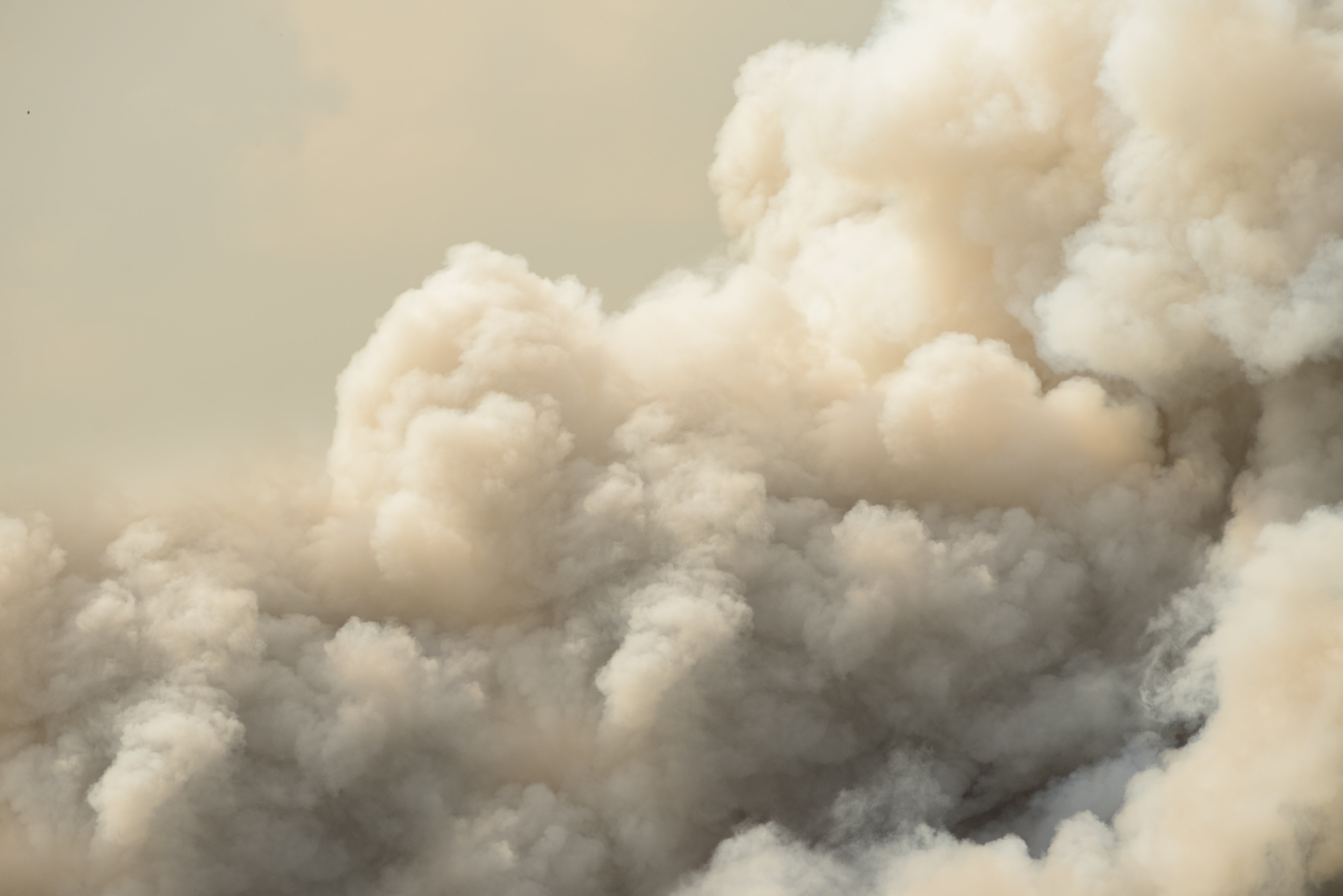 Breathing in Wildfire Smoke: A Closer Look at Health Risks and Protect ...